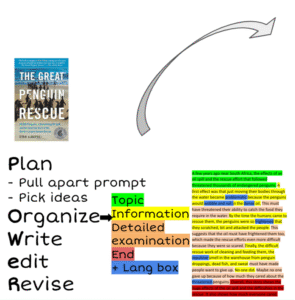 SRSD’s Six Stages & POWeR Cycle - think SRSD (self-regulated strategy ...
